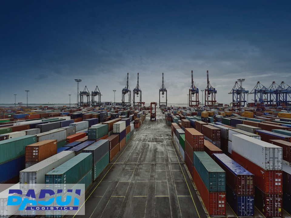 The Badui - DEPO CONTAINER